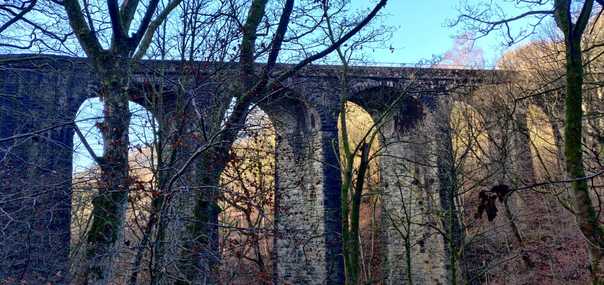 Healey Dell Nature Reserve#1 – The Viaduct › wanderscapes365