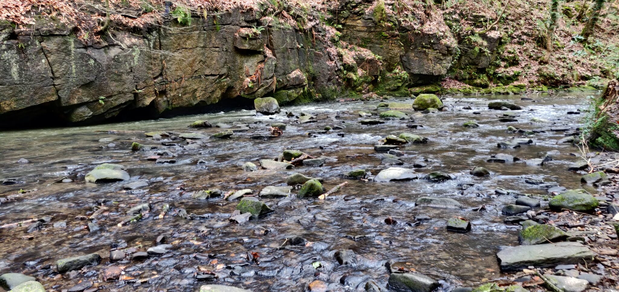 Healey Dell Nature Reserve#1 – The Viaduct › wanderscapes365